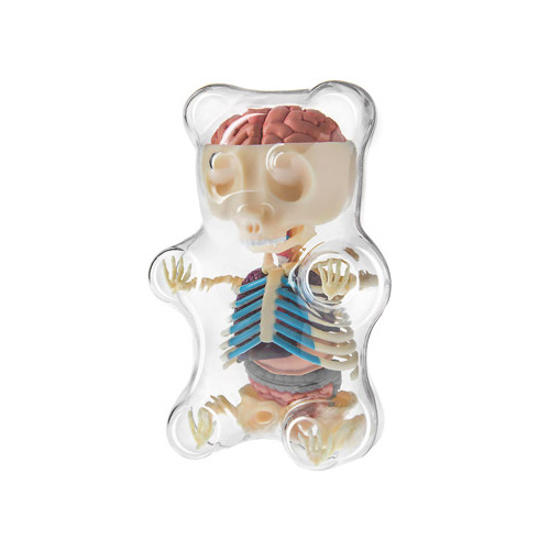 Clear Gummy Bear Anatomy | There's more to this iconic, fruit-flavoured ...