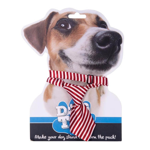 Dog Tie | Make your canine a distinguished dog.