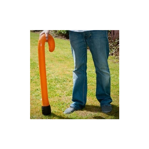 Inflatable Walking Stick | The perfect gift for any old timer!