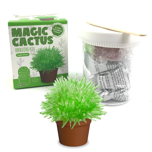 Magic Cactus Growing Kit | Grow a crystal cactus in just a few days!