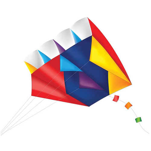 Parafoil Kite | A stable kite for beginner kite flyers!