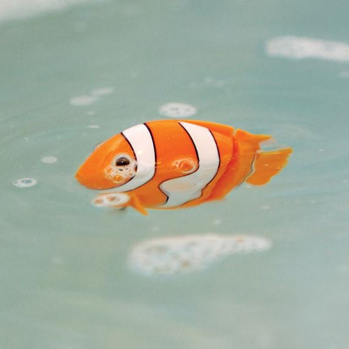 Wind Up Clown Fish | Wind him up, drop him in and watch him go!